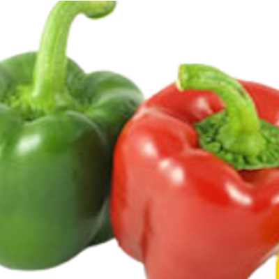 Chez Jim Pizza| ENTREPRISE | GoExploria