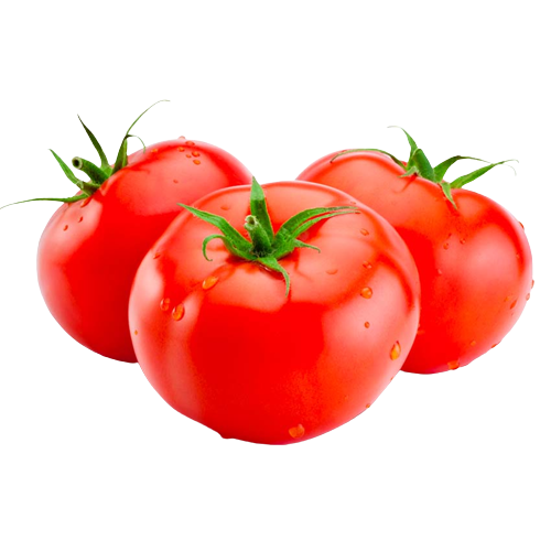 Chez Jim Pizza| ENTREPRISE | GoExploria